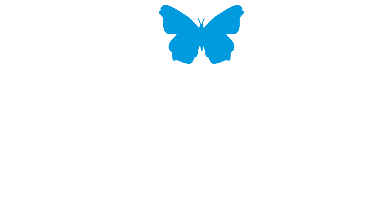 Papillon International Inc.
